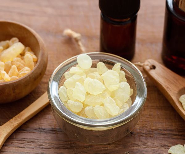 اليك ابرز 9 فوائد صحية وجمالية لعلكة المستكة..تعرف عليها | ماما هيرب