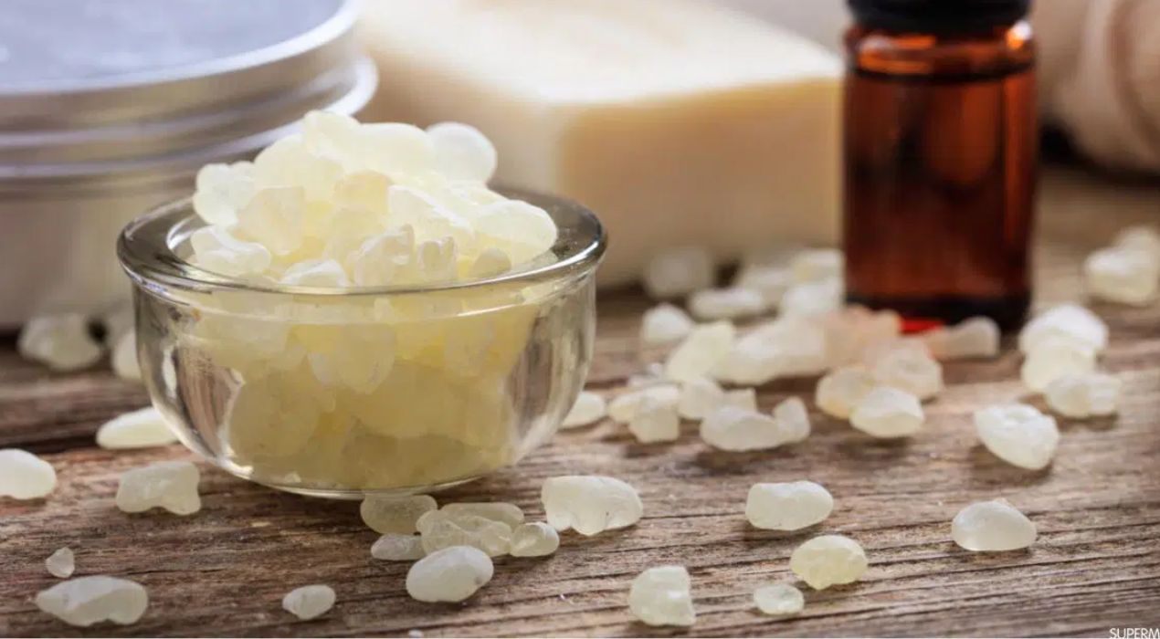 اليك ابرز 9 فوائد صحية وجمالية لعلكة المستكة..تعرف عليها | ماما هيرب